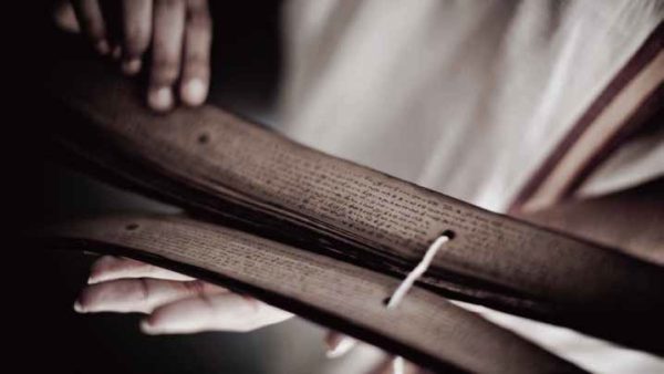 About DSEU - Diamond Silk Entrepreneur University